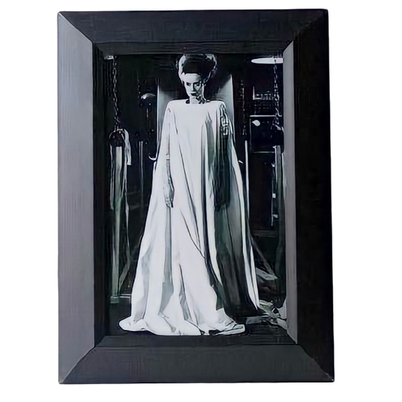 Vintage | Other | Bride Of Frankenstein Vintage Horror Cult Classic ...
